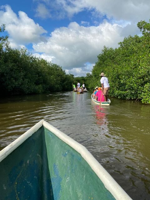 Typical lunch on beach, mangrove tour & fishing with natives - Final Words