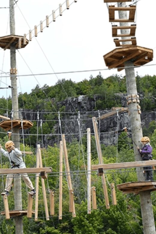 Tyroparc: La Cité des Bois Obstacle Course in Laurentians - Key Points
