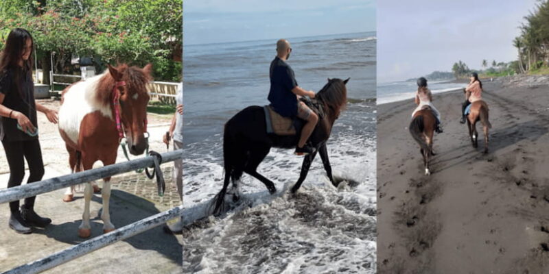 Ubud: 1 Hour Beach Horse Riding with Transfer - Key Points