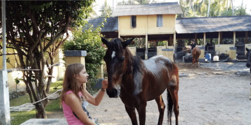 Ubud: 1 Hour Beach Horse Riding with Transfer - The Itinerary and What to Expect