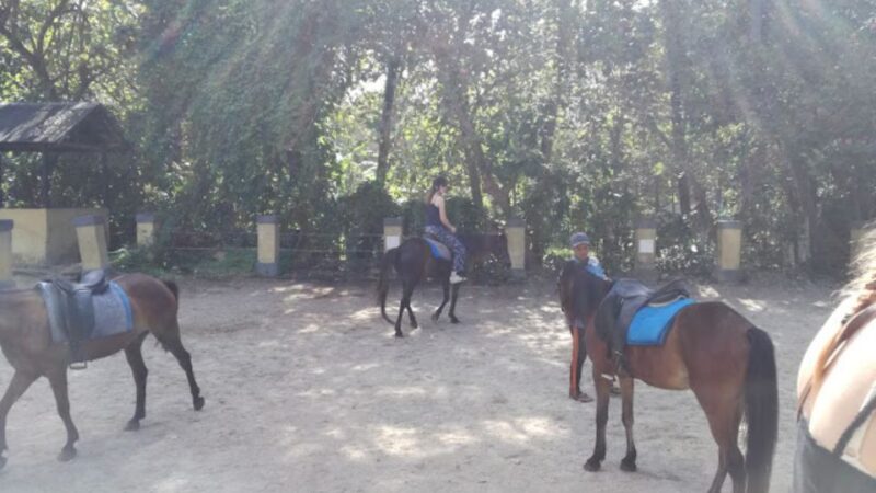 Ubud: 1 Hour Beach Horse Riding with Transfer - Who Should Consider This Tour?