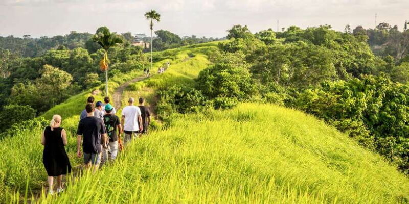 Ubud: 3-Hour Walking Tour with Lunch - Practical Tips for Your Tour Experience