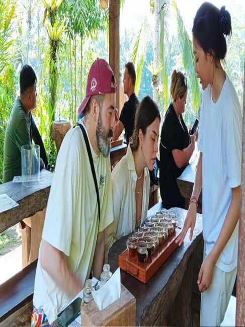 Ubud: 4 Waterfalls Tour with Private Driver - Final Thoughts