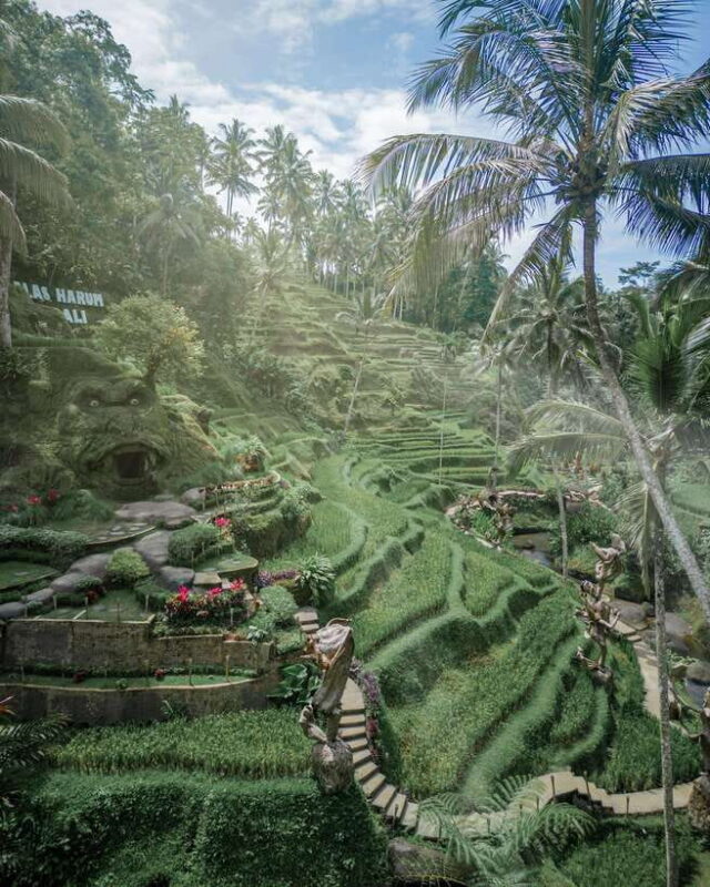 Ubud: Alas Harum Day-Pass, Swing, Sky Bike & Flying Fox - Ubud: Alas Harum Day-Pass, Swing, Sky Bike & Flying Fox — A Balanced Look at Adventure and Serenity in Bali