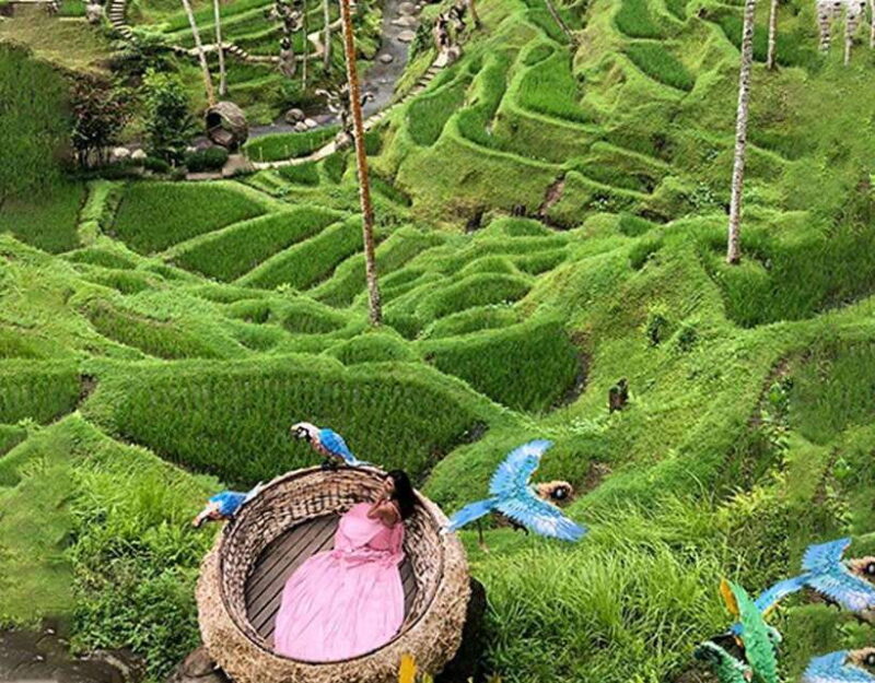 Ubud: Alas Harum, Tirta Empul, Tukad cepung, Dedari - What Makes Each Stop Special