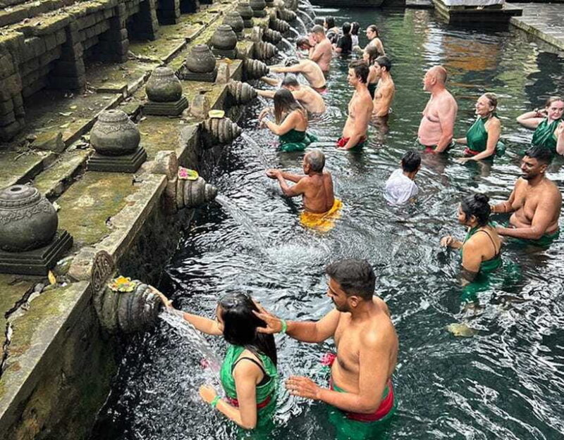 Ubud: Alas Harum, Tirta Empul, Tukad cepung, Dedari - Who Should Consider This Tour?