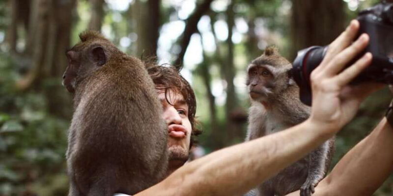 Ubud: All-Inclusive Tour with Optional Lunch - Key Points