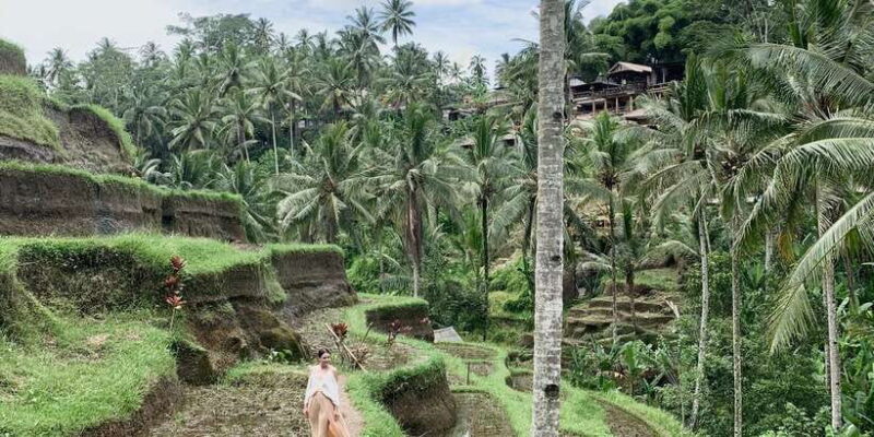 Ubud: All-Inclusive Tour with Optional Lunch - The Practicalities: What’s Included and What’s Not