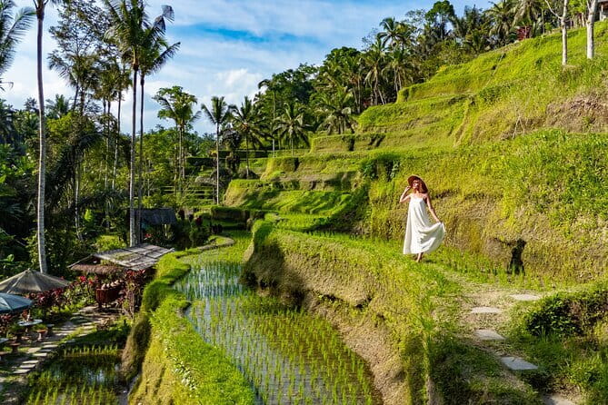 Ubud All-Inclusive Tour with Swing and Lunch - Discovering Ubud: A Deep Dive into the Itinerary