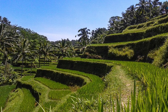 Ubud And Sunset Tanah Lot Tour - Final Thoughts