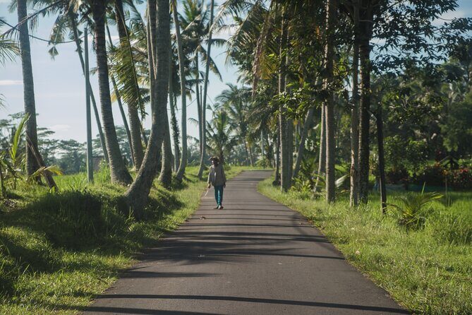Ubud Art, Monkey Forest and Rice Terrace Tour - FAQs