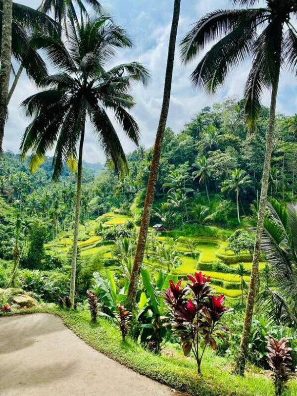 UBUD: atr village, waterfaall, tirta empul, and swing - Who Should Consider This Tour?