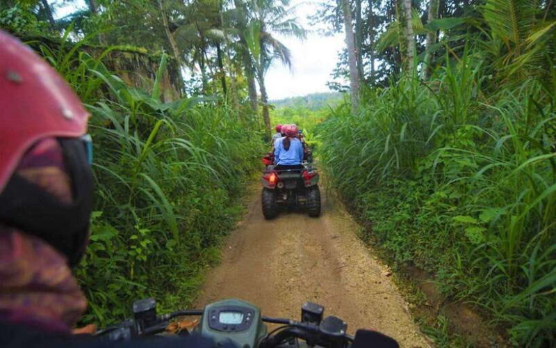Ubud: ATV Bali's Off-Road Terrain Discover - The Itinerary: What to Expect at Each Stop