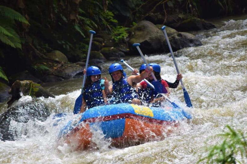 Ubud: ATV Bali's Off-Road Terrain Discover - Who Should Consider This Tour?