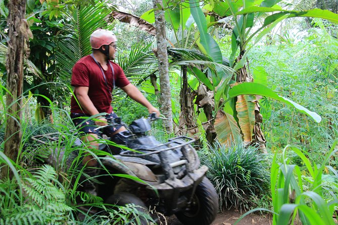 Ubud ATV Quad Bike and Kintamani Volcano Tour - Exploring the Itinerary in Detail