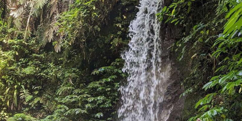 Ubud: ATV Quad Bike and Rafting Adventure - The Practical Details