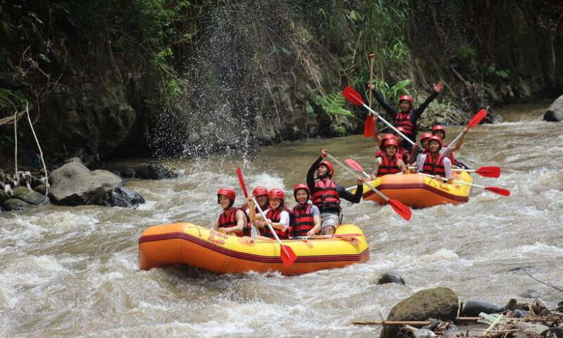 Ubud: ATV Quad Bike and Rafting Adventure with Tlaga Singa - Who Will Love This Tour?