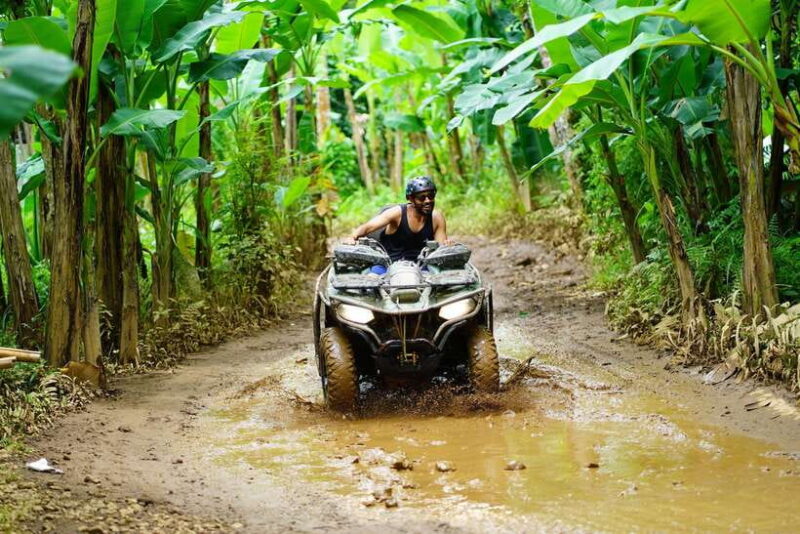 Ubud: ATV Quad Bike Ride Adventure Bali with ubud jungle - What to Expect from the Tour