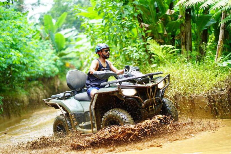 Ubud: ATV Quad Bike Ride Adventure Bali with ubud jungle - The Full Itinerary Breakdown