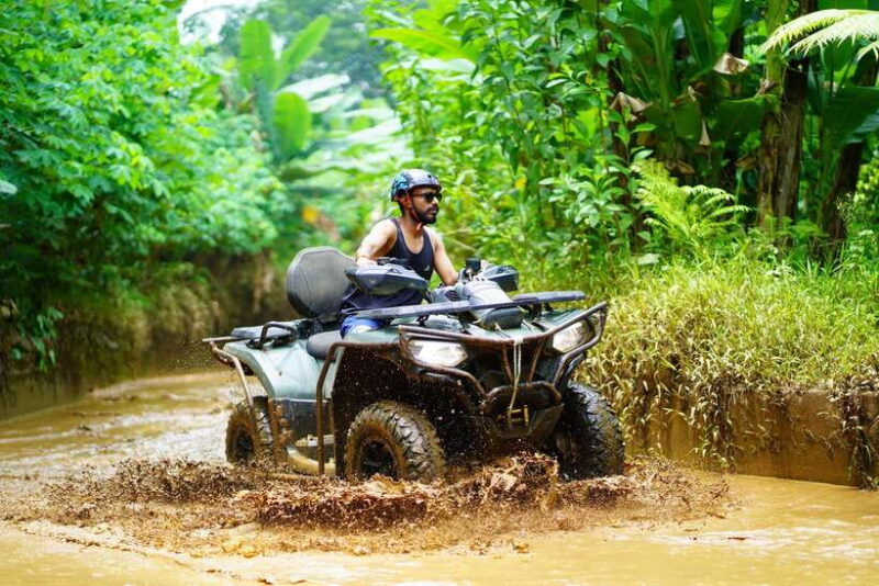 Ubud: ATV Quad Bike Ride Adventure Bali with ubud jungle - The Value of the Experience