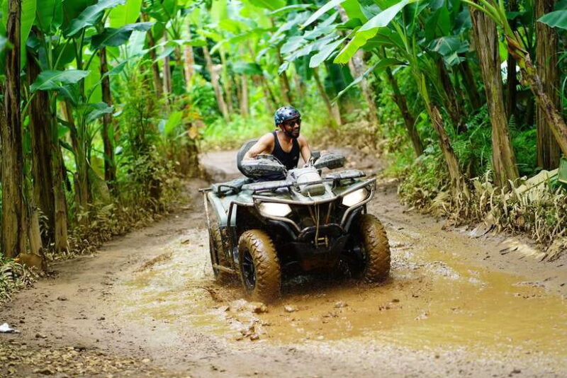 Ubud: ATV Quad Bike Ride Adventure Bali with ubud jungle - Who Will Love This Tour?
