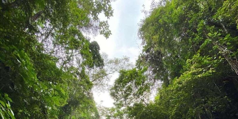 Ubud : Atv-Quad Bike & White Water Rafting With Lunch - Who This Tour Is Best For