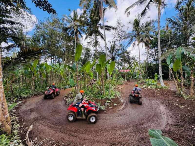 Ubud: ATV Quad Bike & Zip-Line Adventure with Meal - The Sum Up