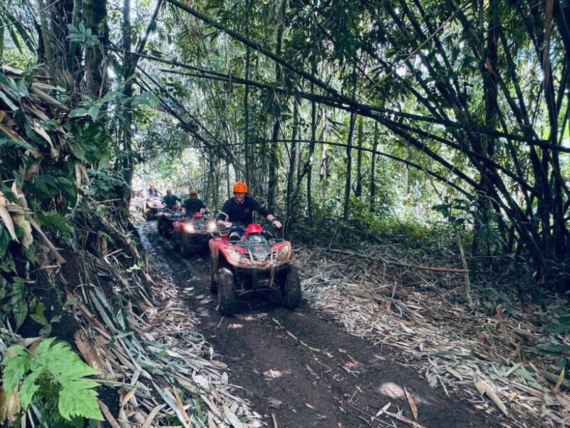 Ubud: ATV Quad Bike & Zip-Line Adventure with Meal - FAQ