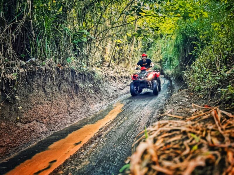 Ubud: ATV Quad Biking Adventure Guided Tour - The Itinerary Breakdown