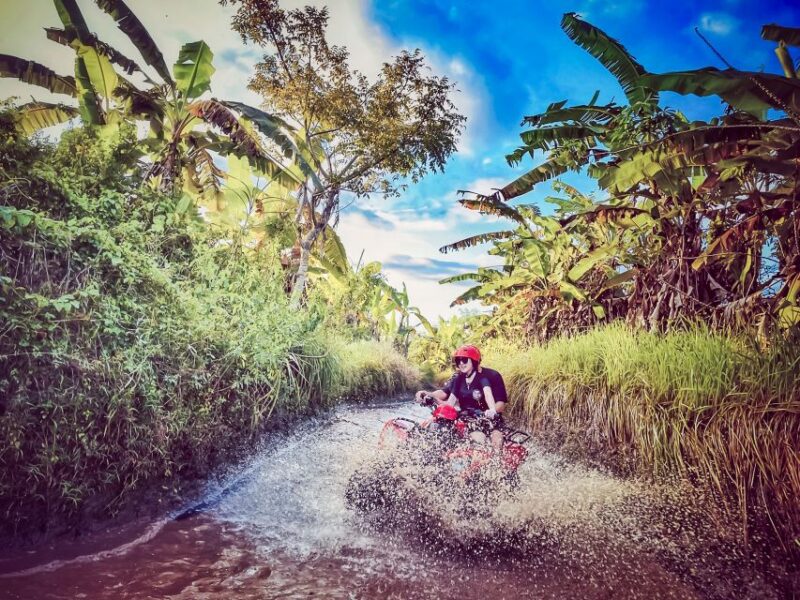 Ubud: ATV Quad Biking Adventure Guided Tour - What Makes the Experience Special?