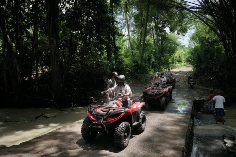 Ubud: ATV Quad Biking Adventure with lunch & hotel transfer - What the Tour Looks Like: A Step-by-Step Breakdown