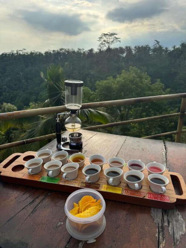 Ubud: ATV Ride, Holy water Temple, and Coffee Tasting - Practical Details and Tips