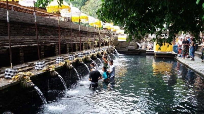 Ubud: ATV Ride, Holy water Temple, and Coffee Tasting - Final Words: Who Should Book This Tour?