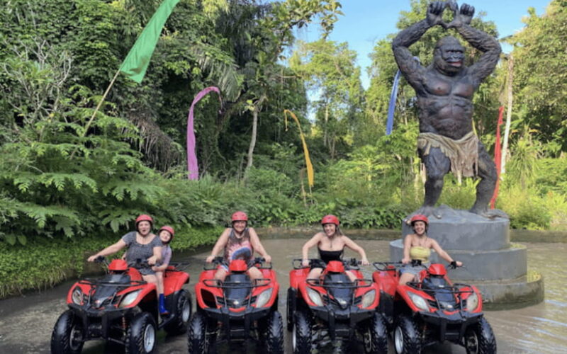 Ubud: ATV Ride with Optional Hotel Transfers - Who Should Consider This Tour?