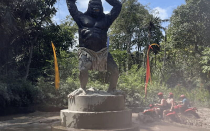 Ubud: ATV Ride with Optional Hotel Transfers - Final Thoughts: Is It Worth It?