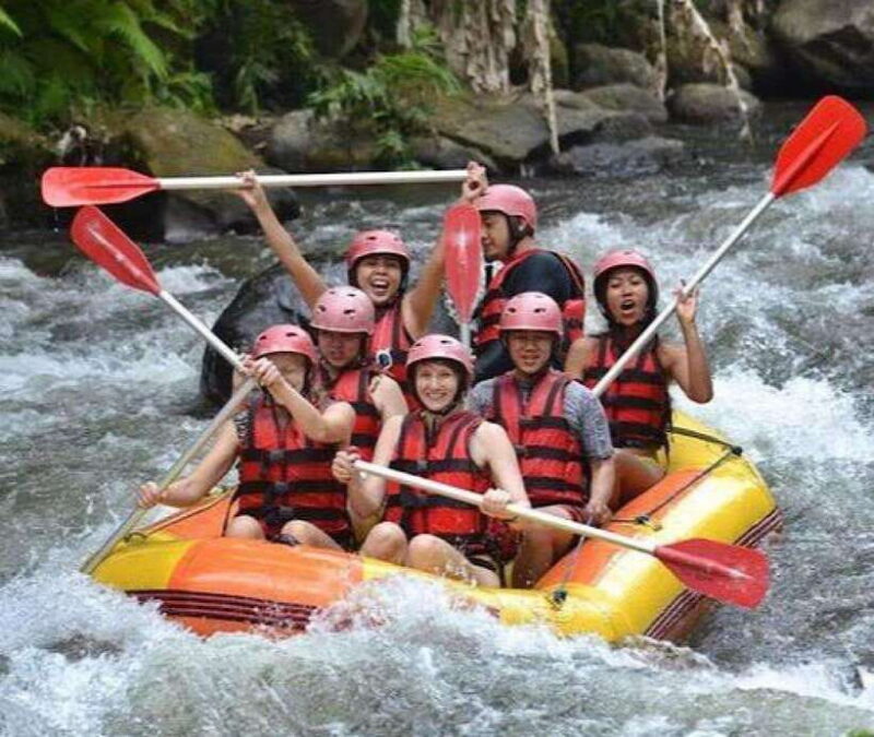 Ubud: Ayung River Rafting Adventure Lunch - The Experience Provider and Booking Insights