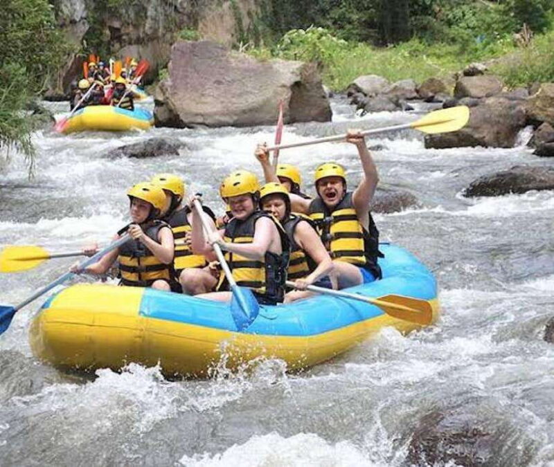 Ubud: Ayung River Rafting Adventure Lunch - Detailed Breakdown of the Experience
