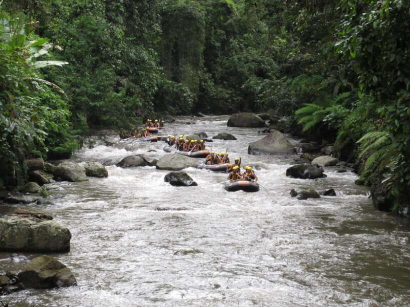 Ubud: Ayung River Rafting Include Lunch - Key Points