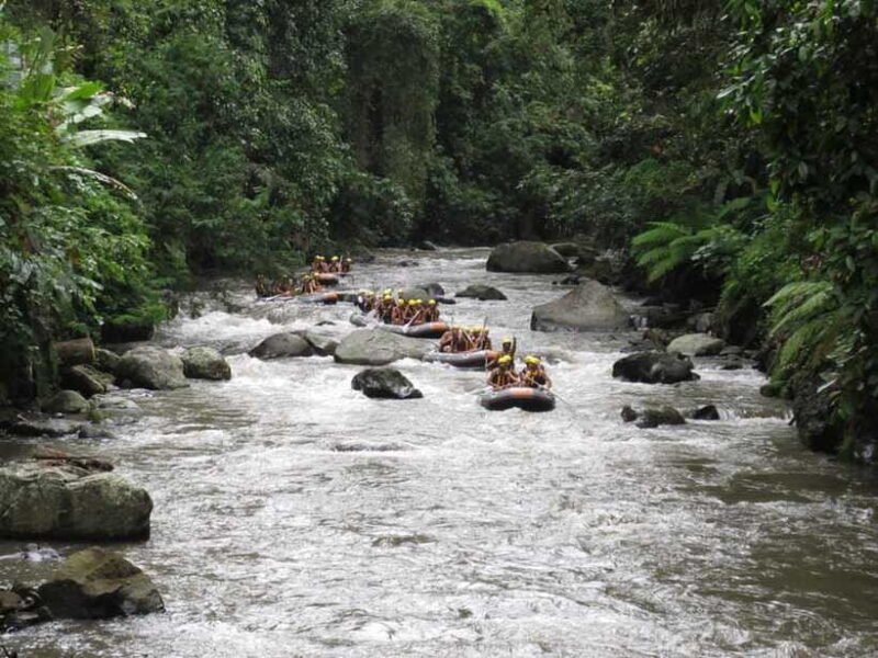 Ubud: Ayung River Rafting Include Lunch - FAQs