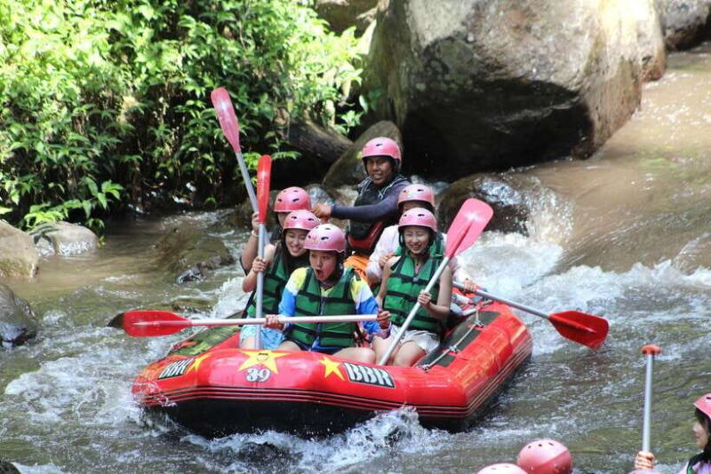 Ubud: Ayung River White Rafting with Lunch and Transfer - What to Expect During the Experience
