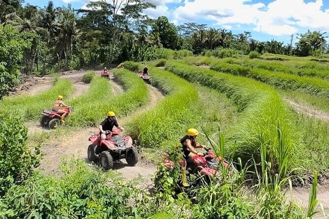 Ubud Bali ATV Quad Bike Adventure - Analyzing the Price and Value