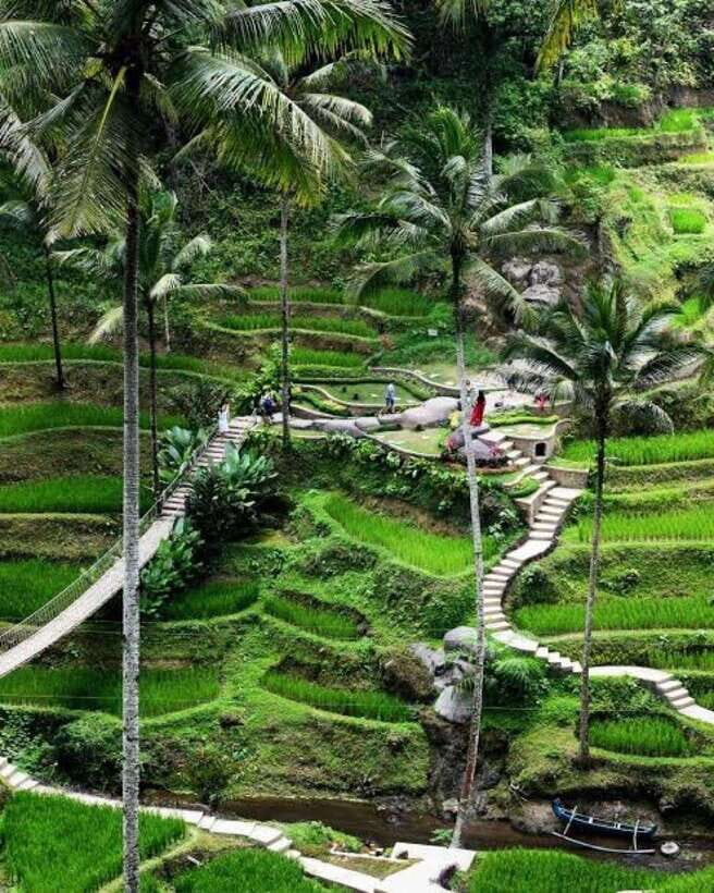 Ubud Bali Fun Atv Quad Bike And With Lunch - What Makes This Tour Stand Out?