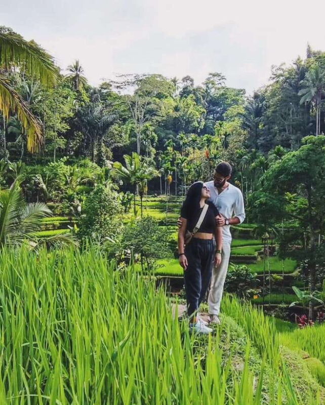 Ubud Bali: Half Day Tours - Detailed Breakdown of the Itinerary