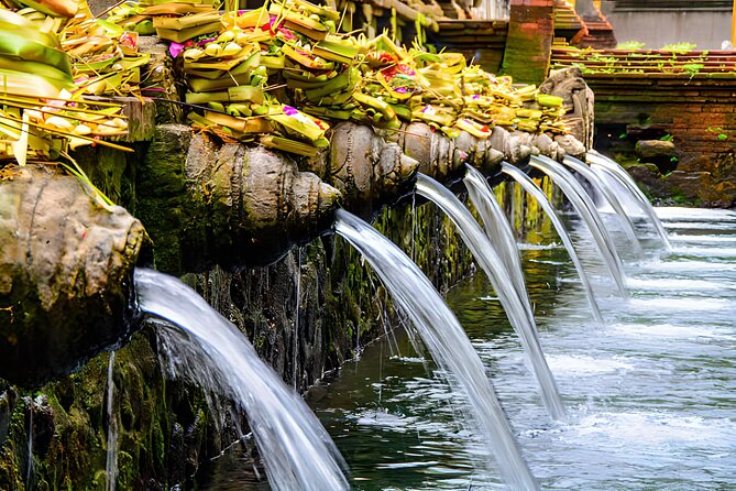Ubud Bali: Rice Terrace, Waterfall and Tirta empul Day Tour - A Detailed Look at the Ubud Bali Tour