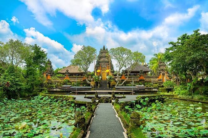 Ubud Bali: Rice Terrace, Waterfall and Tirta empul Day Tour - Analyzing Cost and Value
