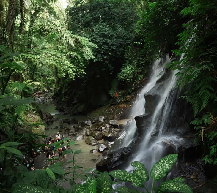 Ubud: Bali Swing hidden waterfall with personal photographer - Authentic Experiences and Genuine Value