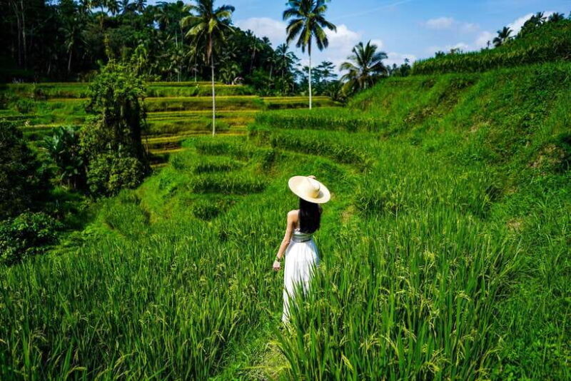 Ubud: Bali Swing hidden waterfall with personal photographer - The Itinerary Breakdown