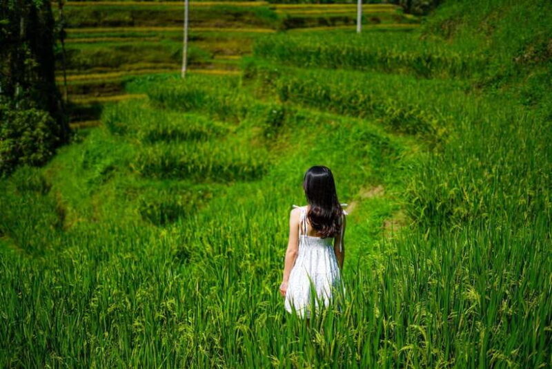 Ubud: Bali Swing hidden waterfall with personal photographer - The Sum Up