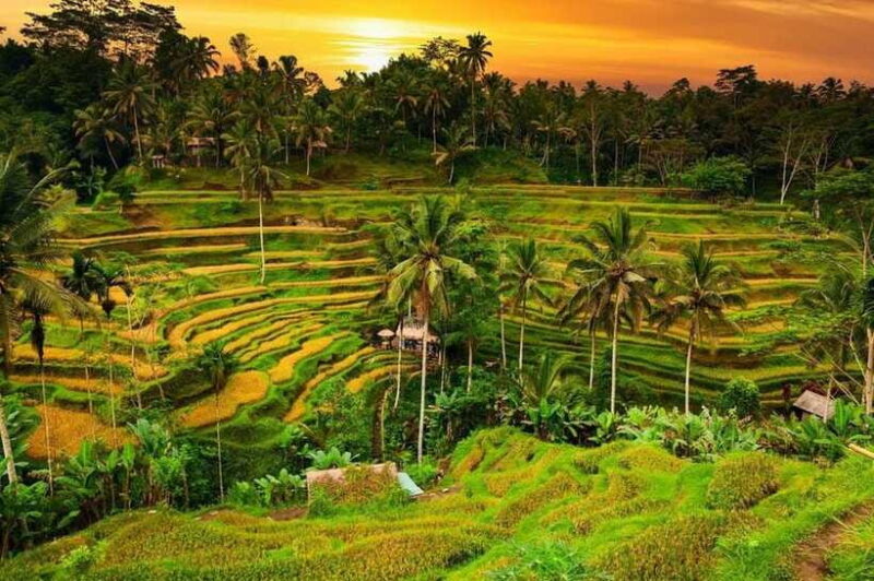 Ubud Bali Tour - Authentic Experiences and Personal Touches