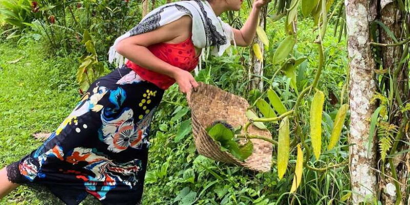 Ubud: Balinese Cooking Class at an Organic Farm - Key Points